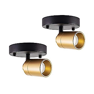 VidaLite LED Monopoint Sconce Adjustable Flush Mount Spot Light
