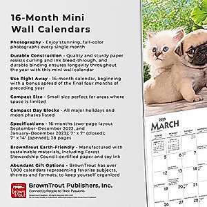 Kittens & Puppies | 2023 7 x 14 Inch Monthly Mini Wall Calendar | BrownTrout | Animals Cute Dogs Cats