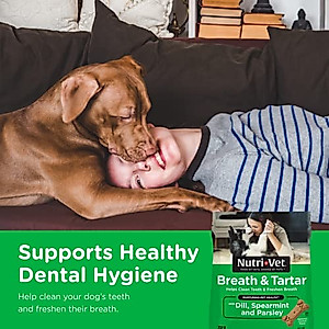 Nutri-Vet Breath & Tartar Biscuits for Dogs - Supports Healthy Gums and Clean Teeth - Delicious Chicken Flavor - 19.5 oz