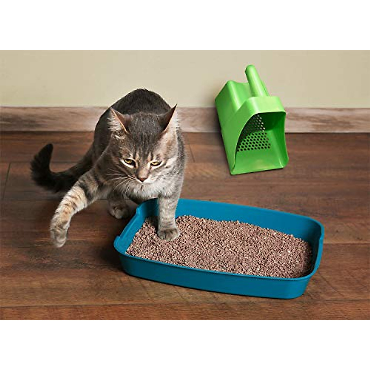 Harris All Purpose Sand Scoop and Diatomaceous Earth Applicator, 3 Quart Capacity