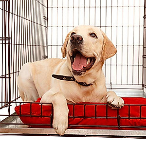 KOPEKS Galvanized Metal Tray for Dog Crates, Pet Kennels, Restaurant Grease Traps, and Floor Protection, Chew Proof Durability, Heavy-Duty Reusable Coverage, 41 x 27 Inches, (KPS-1119)