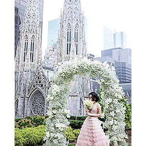 Wedding Arch Backdrop Stand,Gold Metal Door Arched Backdrop Frame Arches Backdrop Stand for Wedding Birthday Graduation Anniversary Celebration Opening Ceremony (6.6x3.3FT)