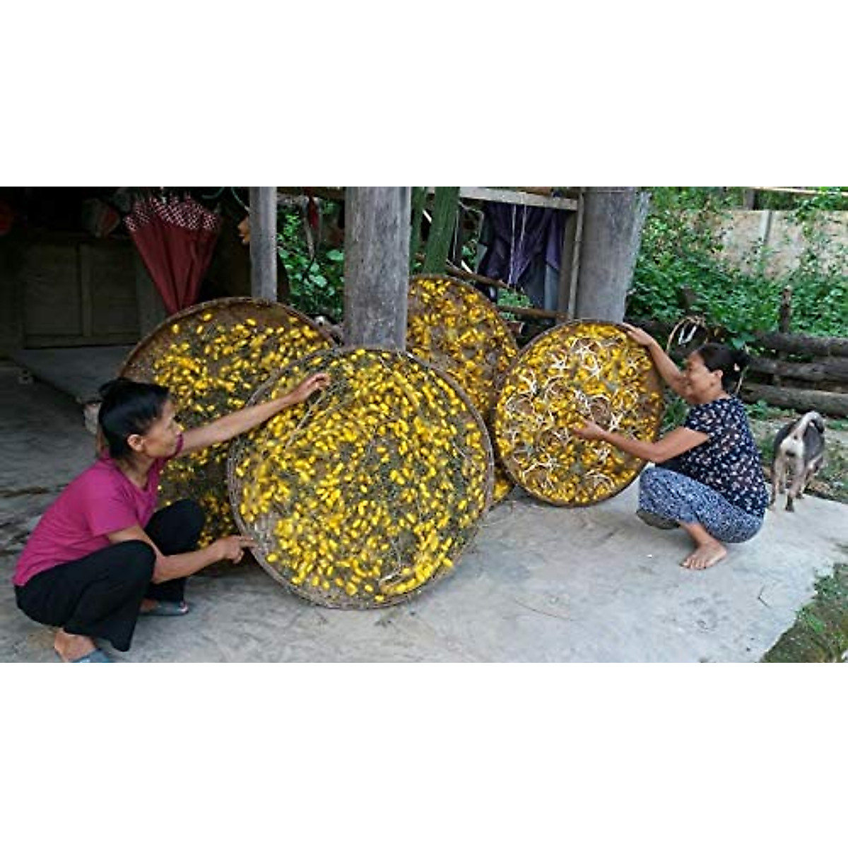 Mimi Organic 100% Natural Mulberry Silk Hand Face Yoga Towel 2 Layer | Newborn Baby and Woman | Heavenly Soft Washcloth 12x12in 1pc, Natural Yellow No Bleached No Dyed