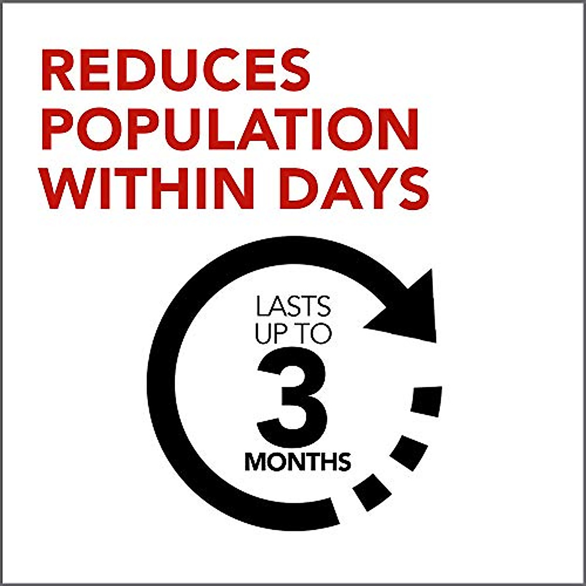 Raid Double Control Ant Baits, 4 CT (Pack - 1), plain