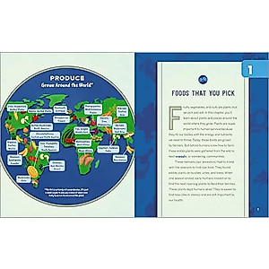 Food Anatomy Activities for Kids: Fun, Hands-On Learning