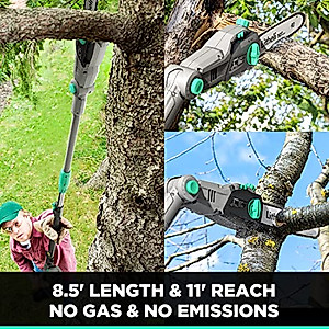 Litheli Cordless Pole Saw,10-Inch 40V Pole Saws for Tree Trimming, Battery Pole Saw for Branch Cutting, Trimming, Pruning, 2.5Ah Battery & Charger Included