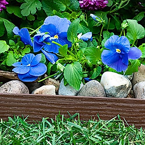 EasyFlex Tall Wall No-Dig Ladscape Edging with Anchoring Spikes, 2.5 in. Tall Straight Top Plastic Garden Border with Woodgrain Texture, 40 Foot Kit, Brown (3220BRE-40C)