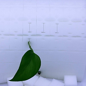 PRUNS 100Pack Hydroponic Sponge Hydroponic Seeds Planting Gardening Tool Sponges Moisturized Soilless Vegetables Cultivation Gardening Tools for Greenhouse Small Bud Growth or Grow Seedlings (2)