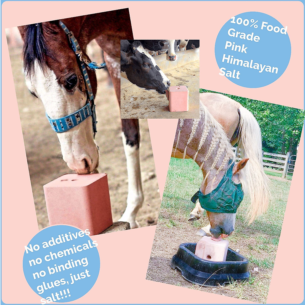 Himalayan Secrets® 5.5LB (2.5KG) Compressed Pink Himalayan Salt Lick | for Livestock and Wildlife Animals | 100% Pure & Natural Feed Salt Block | Natural Minerals and Trace Elements