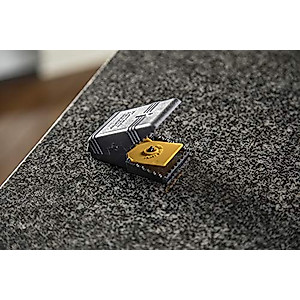 Tomcat Mouse Snap Traps