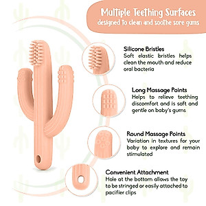 Cactus Teether, Baby Teething Toys for Babies 0-6 Months 6-12 Months, Self-Soothing Pain Relief Soft Baby Toothbrush for Babies, Toddlers, Infants, Boy and Girl, Natural Organic BPA Free(Peachy)
