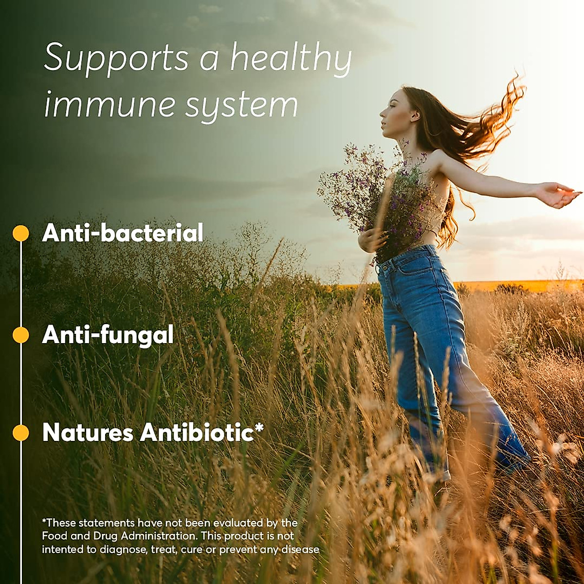 Oil of Oregano, Sierra Organics, Super Strength 80 Carvacrol- 20ml - Immune System Support - Certified Organic, Wild Oregano -Super Strength - Non-GMO