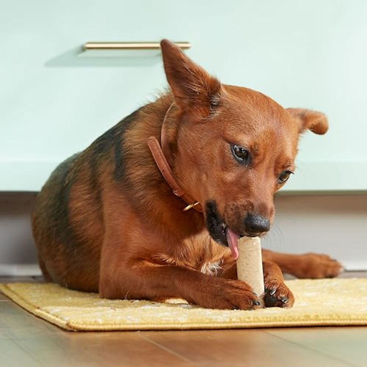 Rachael Ray Nutrish Soup Bones Long Lasting Dog Chews Variety Pack, 22 Count (Pack of 1)