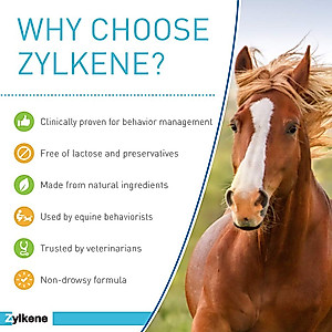 Vetoquinol Zylkene Equine Behavior Support Horse Supplement Powder 2000mg, 20ct