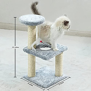 Small Cat Scratching Toy-Small Kitten Toy, Cat Toys for Indoor Cats, Kittens Post and Dangling Ball for Indoor Kittens and Cat Tree Small, Great for Kittens, Made for Kitten and Small Cat 16" Height