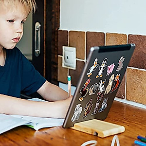 100 Cute Animal Stickers for Water Bottles EL NIDO Waterproof Aesthetic Animal Stickers for Kids Teens Girls and boy, Vinyl Farm Sea Zoo Safari Animal Perfect for Laptop Scrapbooking Stickers, Animal Sticker Pack Christmas Stocking Stuffers