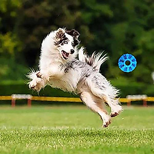 MMSGA 2 Pcs Dog Toy Teeth Ball,Dog Puzzle Toy,Treat Dispensing Dog Toys,Non Toxic Tear Resistant Natural Rubber Toy Ball for Pet Teeth Cleaning/Chewing/Playing/Training (Blue+Blue, 2.36in)