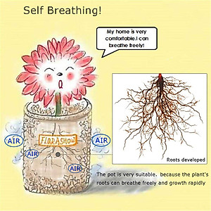 FLORASHOW Succulent Pots,White Crystal Materials Mini 3.26 inch Succulent Planter Pot, Ultra-Breathable, Water-Permeable Suitable for Succulents, Cactus, Smaller Plants and More