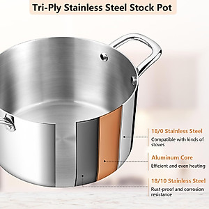 THEGA Stainless Steel Stock Pot - Large Stock Pot With Lid, Round Stock Pot With Soft-Touch Handles, Tri-ply Pasta/Chicken/Soup Pot, Stockpot For Steaming And Stewing, Dishwasher Safe, 8QT