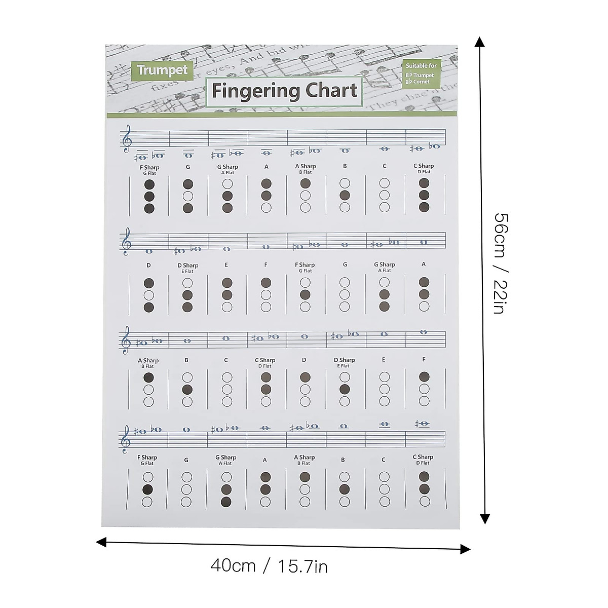 Trumpet Chord Chart Chords Reference Poster Scales Reference Fingering Practice Chart(Trumpet Chord Chart (Large Size))