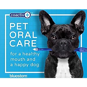 Dog Toothpaste : Chicken Flavor Tooth Paste for Dogs & Cats. Teeth Brushing Cleaner Pet Breath Freshener Oral Care Dental Cleaning Kit. Tartar & Plaque Remover Brushes