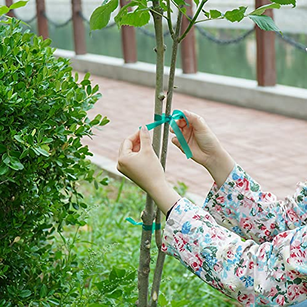 feitengda PVC Garden Tie Tape Stretch Tie Tape, Reusable Plant Ties Tapes Plant Ribbon Vinyl for Indoor Outdoor Patio Plant 2 Rolls 147 Feet