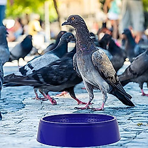 balacoo 3pcs Bird Nest Plastic Bird Hut Birdhouse Outdoor Bird Shelter House for Dove Pigeon Finch Wren Sparrow Parakeets Cockatiels Finch Canary Resting Breeding Blue