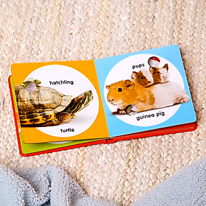 Melissa & Doug Children’s Book – Poke-a-Dot: Pet Families (Board Book with Buttons to Pop)