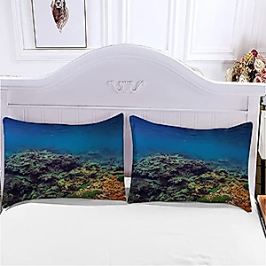 Quilt Cover Queen Size Coral Reef 3D Bedding Sets Underwater World Duvet Cover Breathable Hypoallergenic Stain Wrinkle Resistant Microfiber with Zipper Closure,beding Set with 2 Pillowcase
