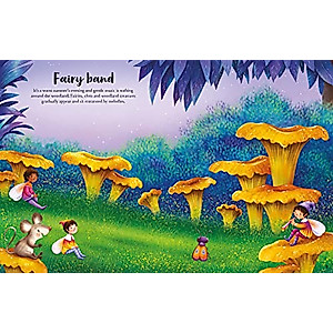 Fairies, Pixies and Elves Sticker Book (Sticker Books)