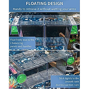 Pawfly Aquarium Fish Breeding Box Acrylic Hatchery Incubator Tank with Suction Cups Medium Isolation Box for Baby Fish Shrimp Betta and Guppy