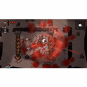 The Binding of Isaac: Repentance(ザ バインディング オブ アイザック リペンタンス) -Switch