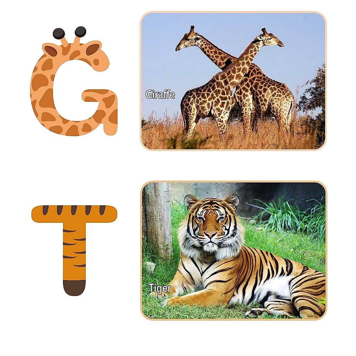 Aomola Wooden Puzzles for Toddlers,Alphabet ABC Puzzle Numbers Puzzle Set,Kids Educational Preschool Pegged Puzzles,Learning Toys Gift for 3 Year Old and Up Boys and Girls