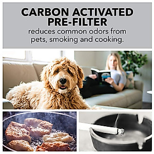 Perfect Aire 4 Pack Carbon Filters for 1PAPUV27 Air Purifier