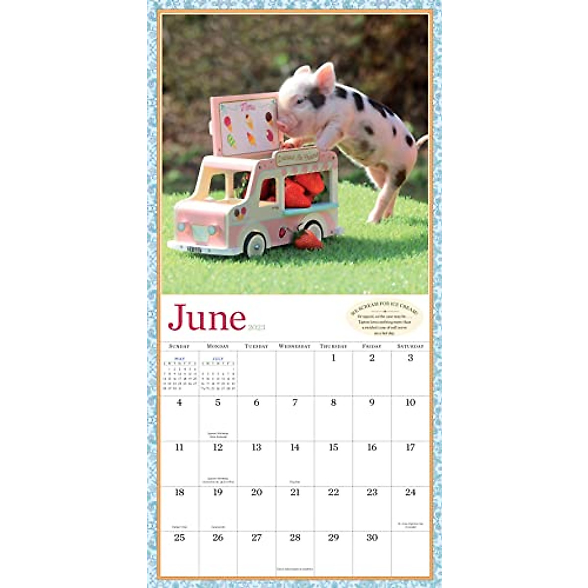 The Original Pocket Pigs Wall Calendar 2023: The Famous Teacup Pigs of Pennywell Farm