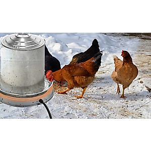 Poultry Chicken Water Heater: Chicken Water Heater Base for Winter, for Plastic/Metal Poultry Watere Under 6 Gallons, Heated Waterer for Chickens 130W
