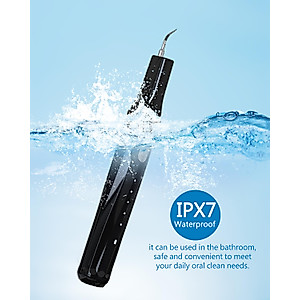 Hansaplast Plaque Remover for Teeth, Dog Teeth Cleaning, Dental Tools to Remove Tartar and Stains, Safe for Dogs & Cats, with Led Light & 5 Adjustable Modes (Black)