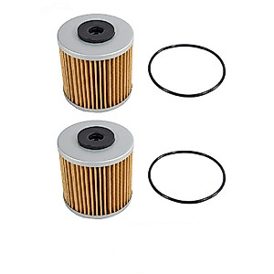 HITY MOTOR (New 2 Replacement Ferris Mower Transaxle Insert Hydraulic Filters 5101987X2 IS2100 fits IS2100, IS3200