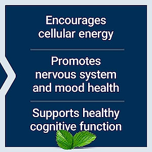 Life Extension Acetyl-L-Carnitine, Acetyl-L-Carnitine, vitamin C, Brain, mood & nerve health, cellular energy, 3-month supply, Gluten-Free, Non-GMO, Vegetarian, 100 Capsules