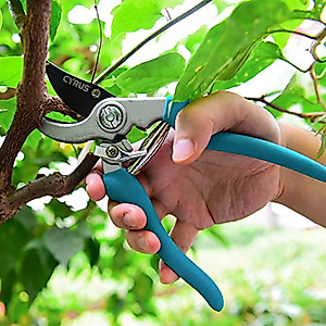 Garden Shears Pruner Secateurs & Pruning Scissors Flower Gardening Sharp Carbon Steel & Aluminum Alloy Hand Tools Florist Bonsai Cutters Plant Floral Snips - CYRUS
