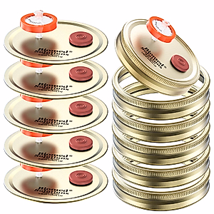 6Pcs Wide Mouth Liquid Culture Lid,Split-type Grain Spawn Cultivation Mason Jar Lid with 0.22um PTFE Syringe Filter & 20mm Self Healing Injection Ports For Mushroom Growing Mycology(Golden)…