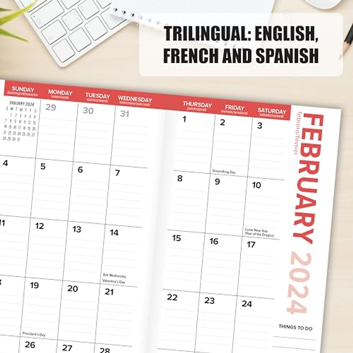 Willow Creek Press Cactus 2-Year January 2024 - December 2025 Monthly Pocket Planner (3.5" x 6.5")