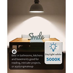 TJOY LED Light Bulbs, 100 Watt Equivalent A19, 5000K Daylight LED Bulbs, 15W Bright White Light Bulbs, Energy Saving Light Bulb with E26 Standard Base, 1500 Lumens Non Dimmable Lamp Bulb, 12 Pack