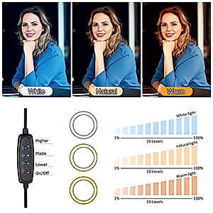 Ring Light Computer for Video Conferencing Zoom Meeting, Desk Ring Light for Laptop, Desktop Lighting with Stand and Phone Holder for Video Recording/Calls,Circle Light/iPhone Selfie Light/Halo Light