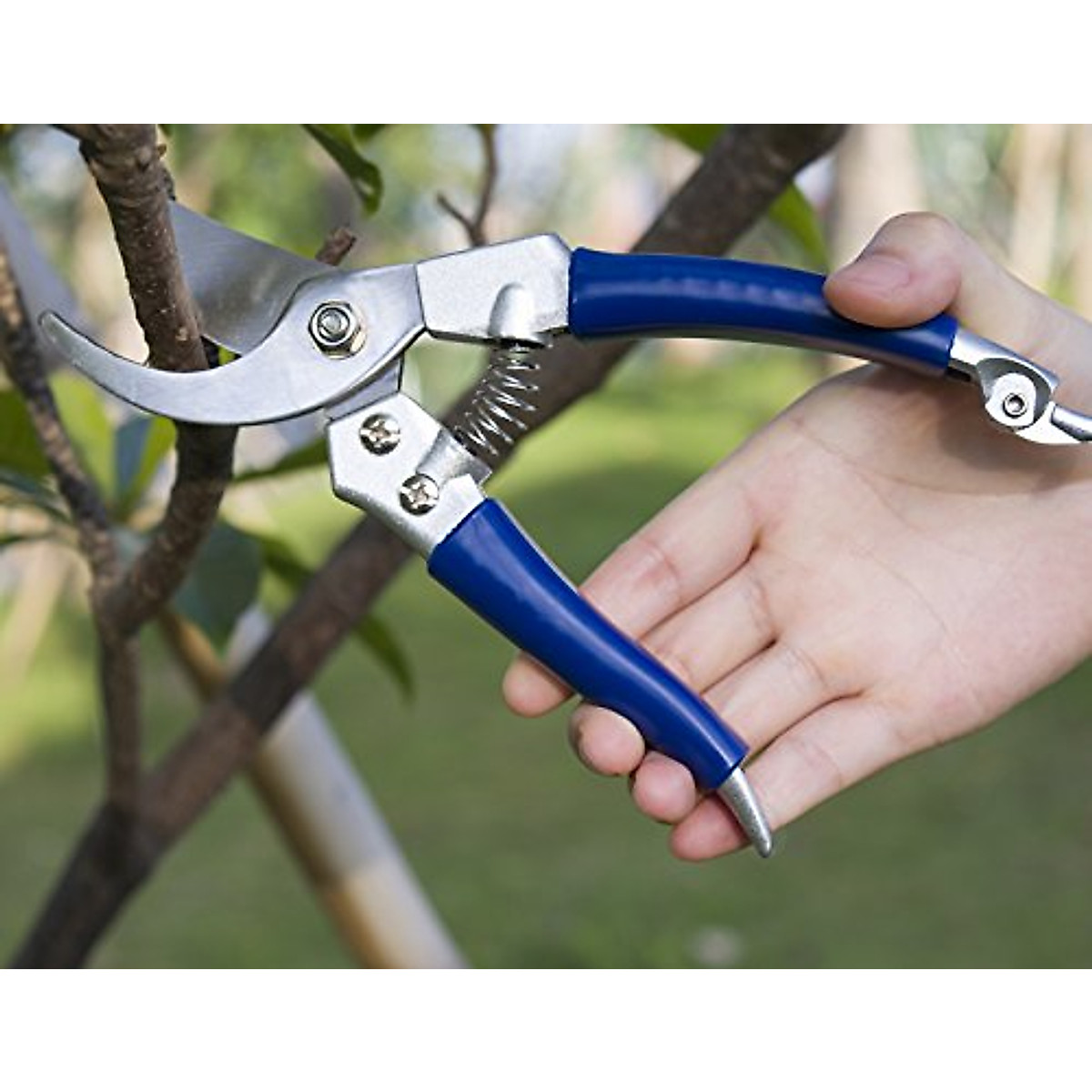 Coolife Professional Garden Bypass Pruning Shears, Heavy Duty Sharp Hand Pruner for Trees, Hedges, Bonsai, Shrubs and Roses
