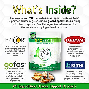 MAXGEVITY Mobility, Hip & Joint Support Meal Topper with Glucosamine & Green Lipped Mussels, Live Probiotics, Pre & Postbiotics, Digestive Enzymes, and Antioxidants | Up to 90-Day Supply