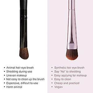 5Pcs Eyeshadow Brush Set, Portable Eye brushes, Premium Eye Makeup Brush, Eyeliner Brush, Angled Brush by YUESHENNAN (pink).