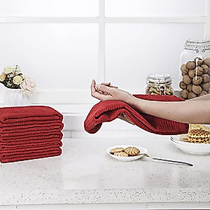 Anyi Dish Towels for Kitchen, Absorbent Cotton Kitchen Towels for Drying Dishes, Terry Tea Towels for Cleaning Set of 3, 16x26 Inches