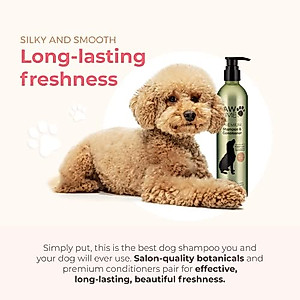 Pawfume Hypoallergenic Best Dog Shampoos & Conditioners – Probiotic Pet Shampoo for Smelly Dogs ,Puppies (Show Dog)