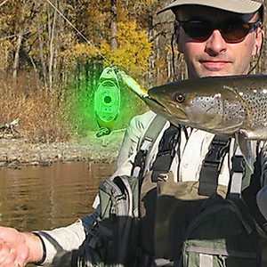 JOJOCY 10 Pack Fishing Lures Fishing Spoons Underwater Flashing Strobe LED Fishing Lights Waterproof Diamond Lights Trolling Lures Halibut Rig Deep Drop Fishing Light